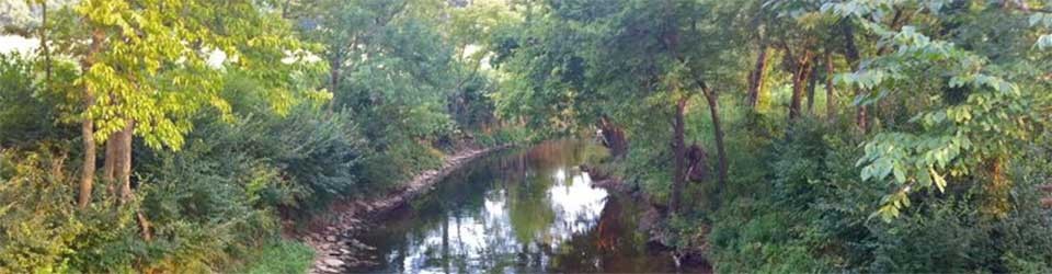 Town Branch Trail | Follow the trail and our latest news as it winds ...